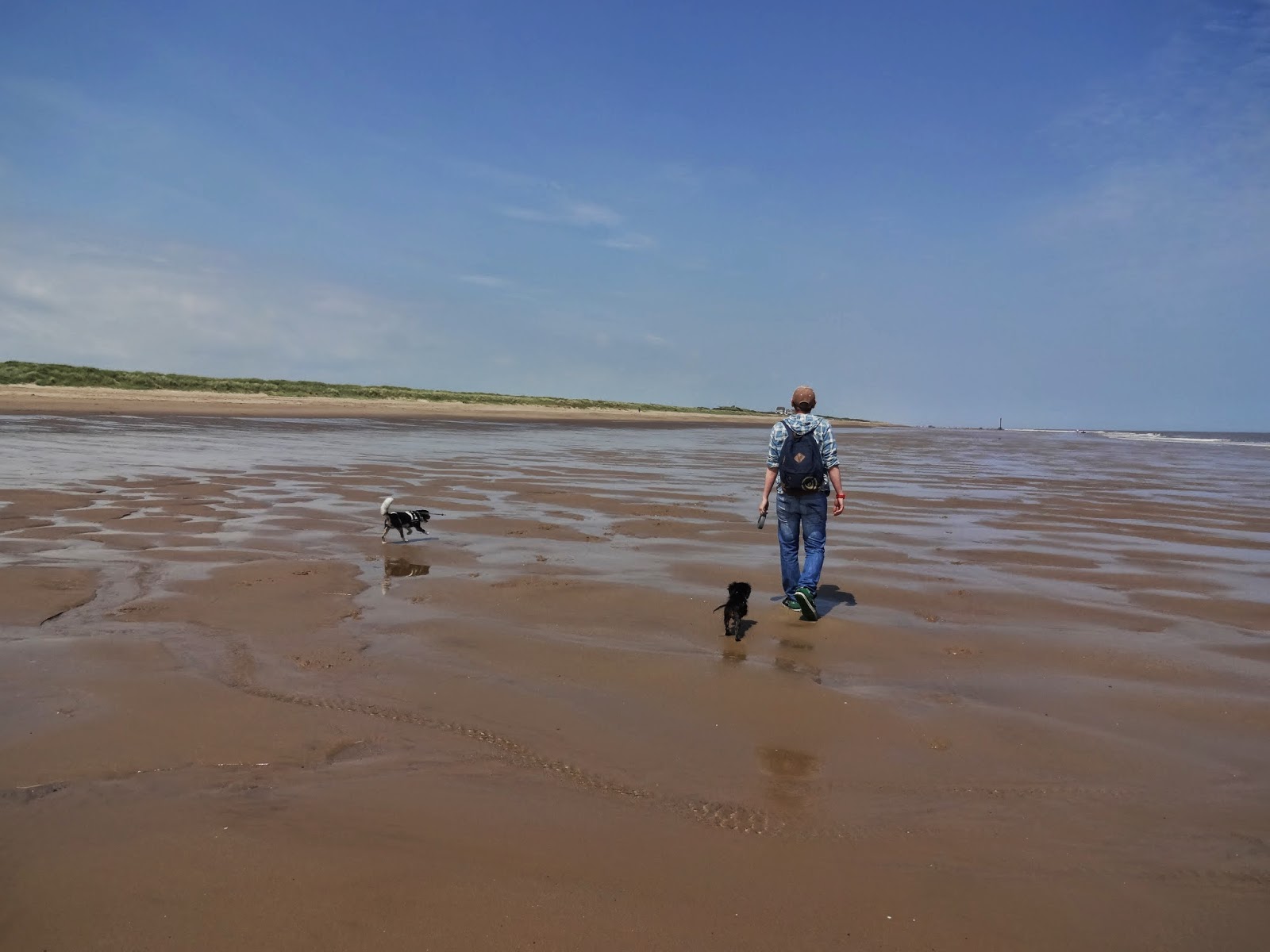 Doggy Day Out – Huttoft Beach - Kezzabeth | DIY & Renovation Blog