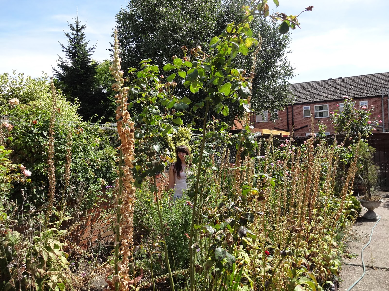 Garden Renovating Begins: A Jungle Clean-Up Mission - Kezzabeth | DIY ...