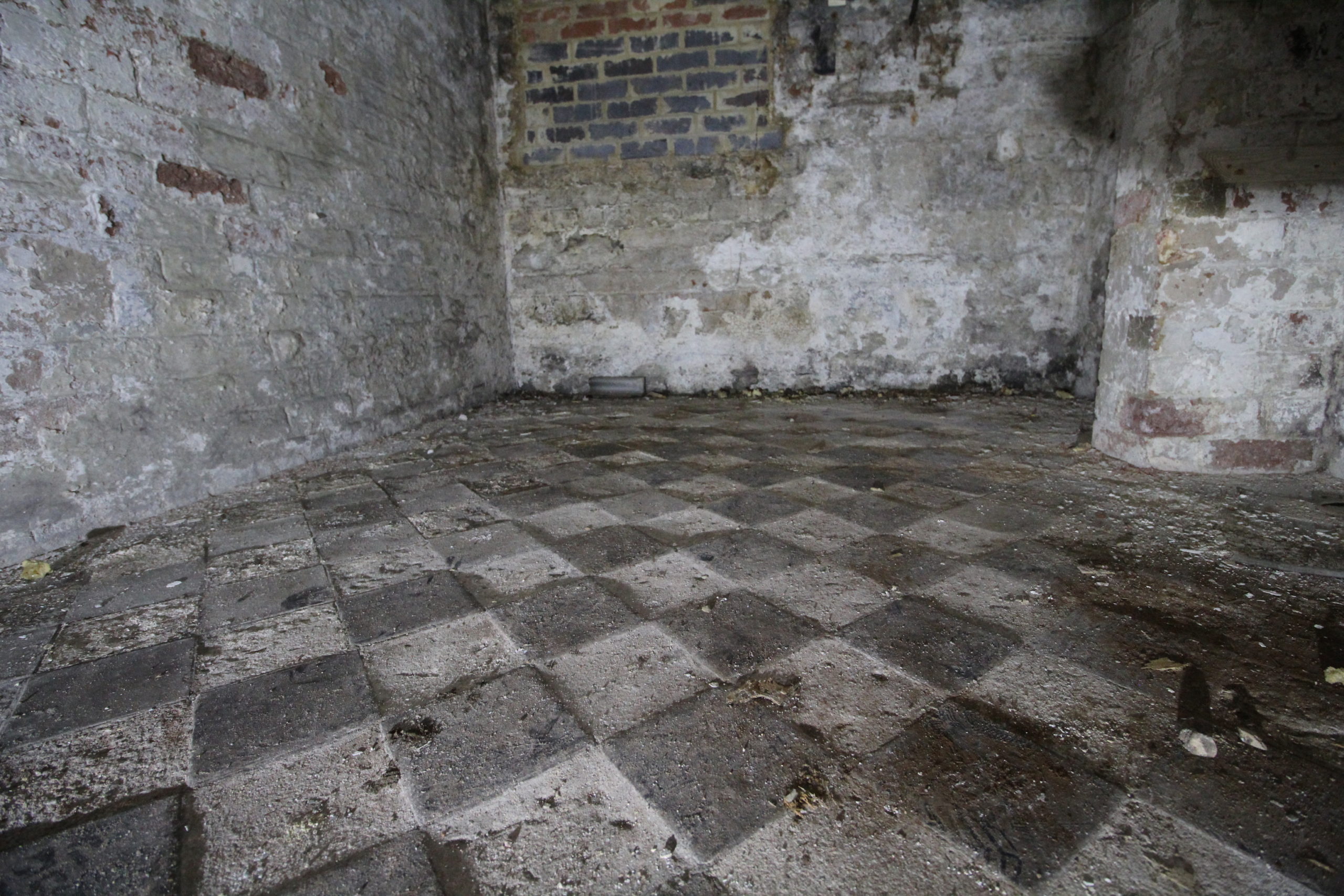 Victorian Cellar – A Tour and What We Have Planned! - Kezzabeth | DIY ...