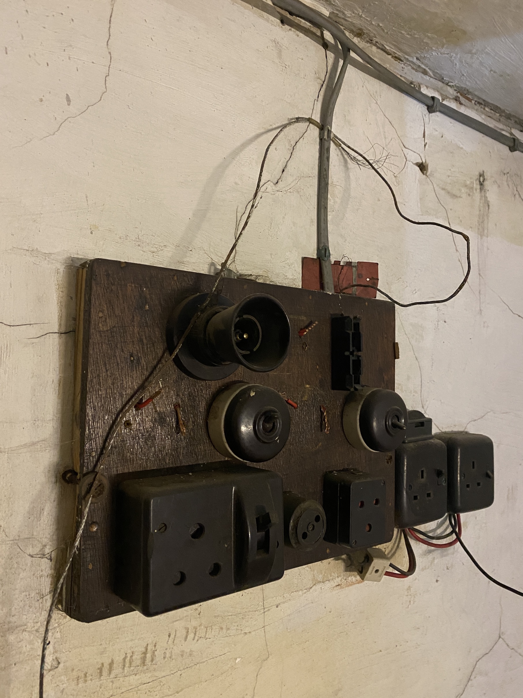 Victorian Cellar – A Tour and What We Have Planned! - Kezzabeth | DIY ...