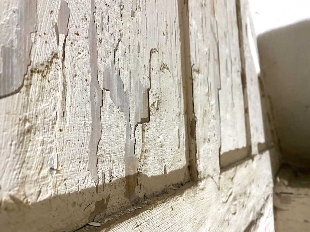 Why Your Cellar Walls Need to Breathe (And Why We’re NOT Tanking ...
