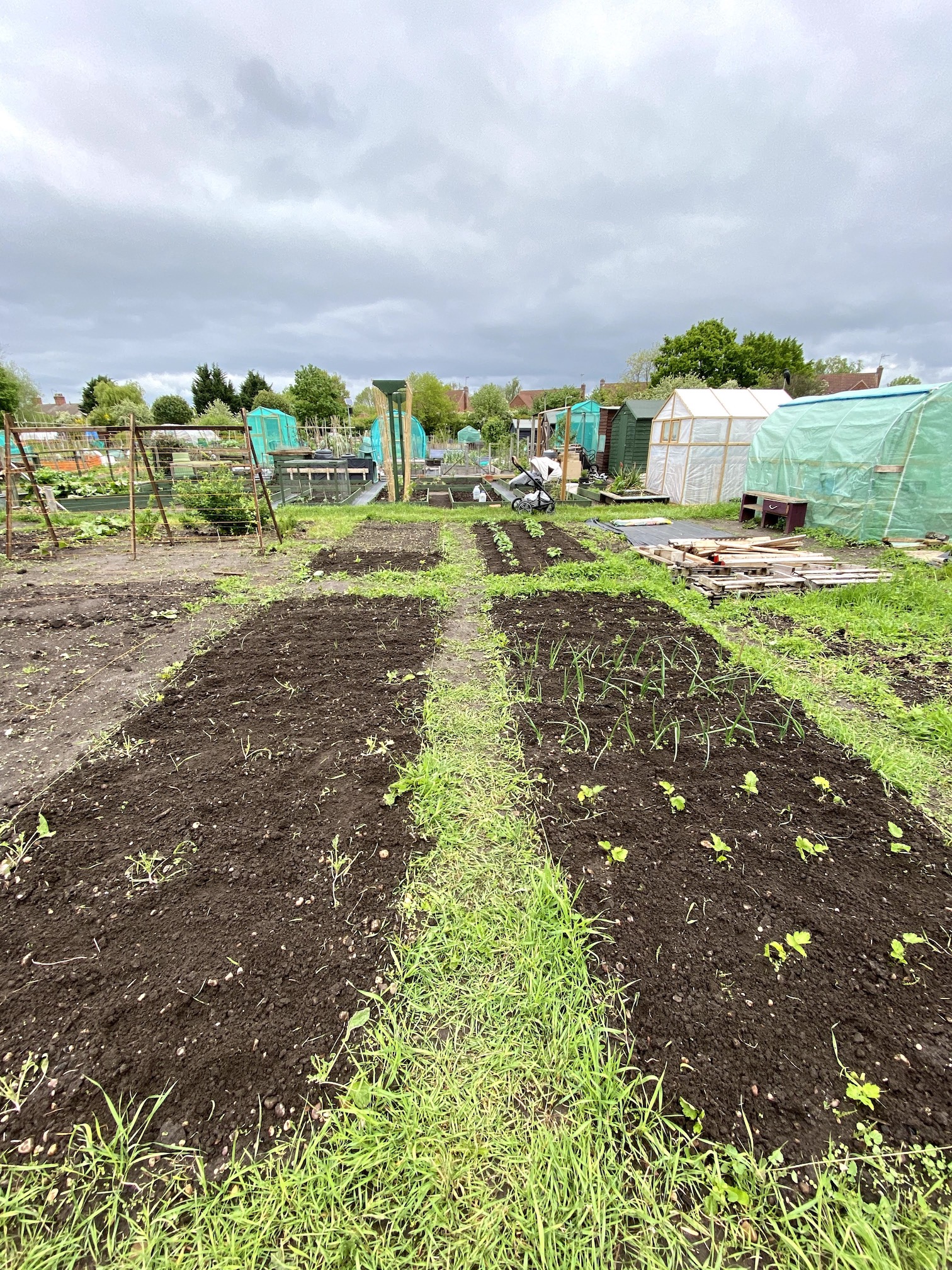 Our First Year With An Allotment – What We Learnt - Kezzabeth | DIY ...